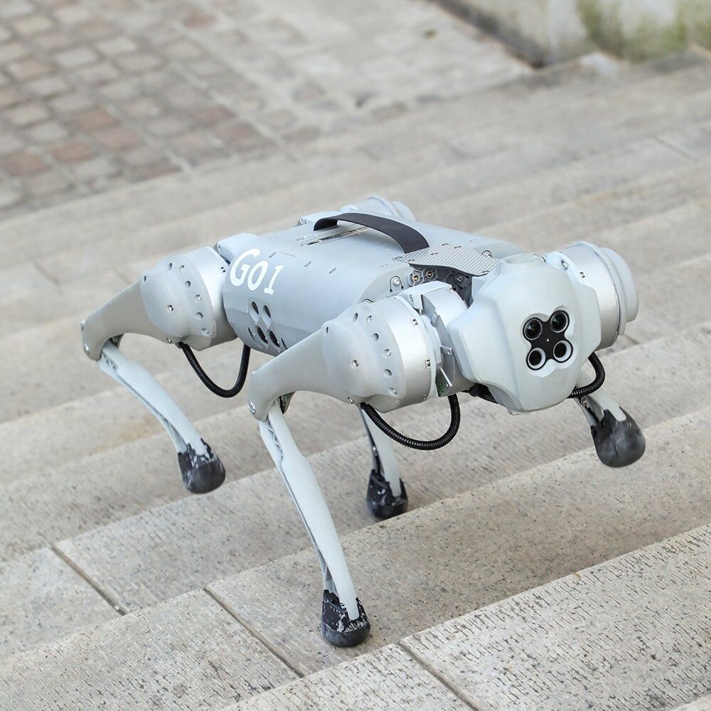 Unitree Go1 Robot