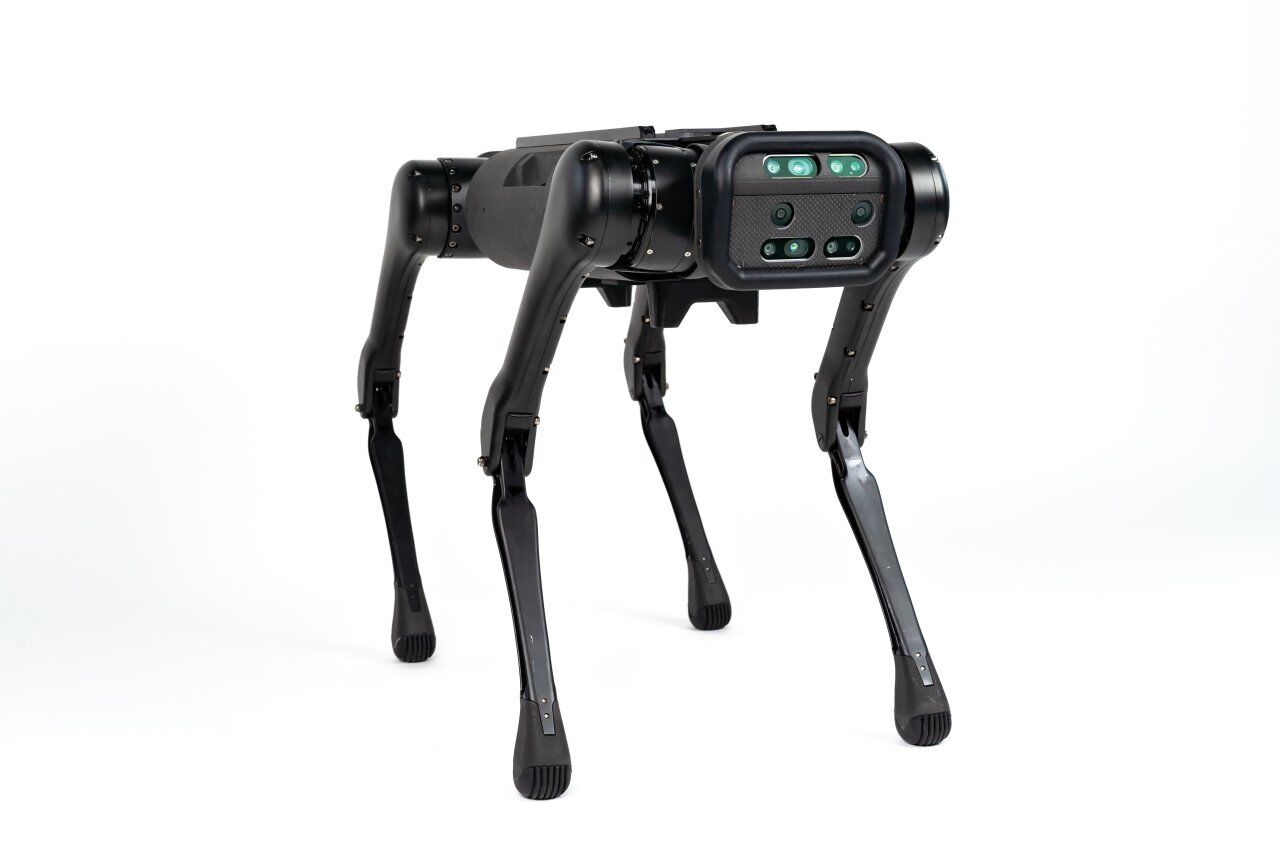 Unitree Aliengo Robot